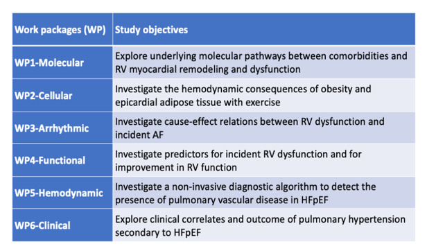 Mandema-stipendium research grant for Thomas Gorter - UMCG Cardiology