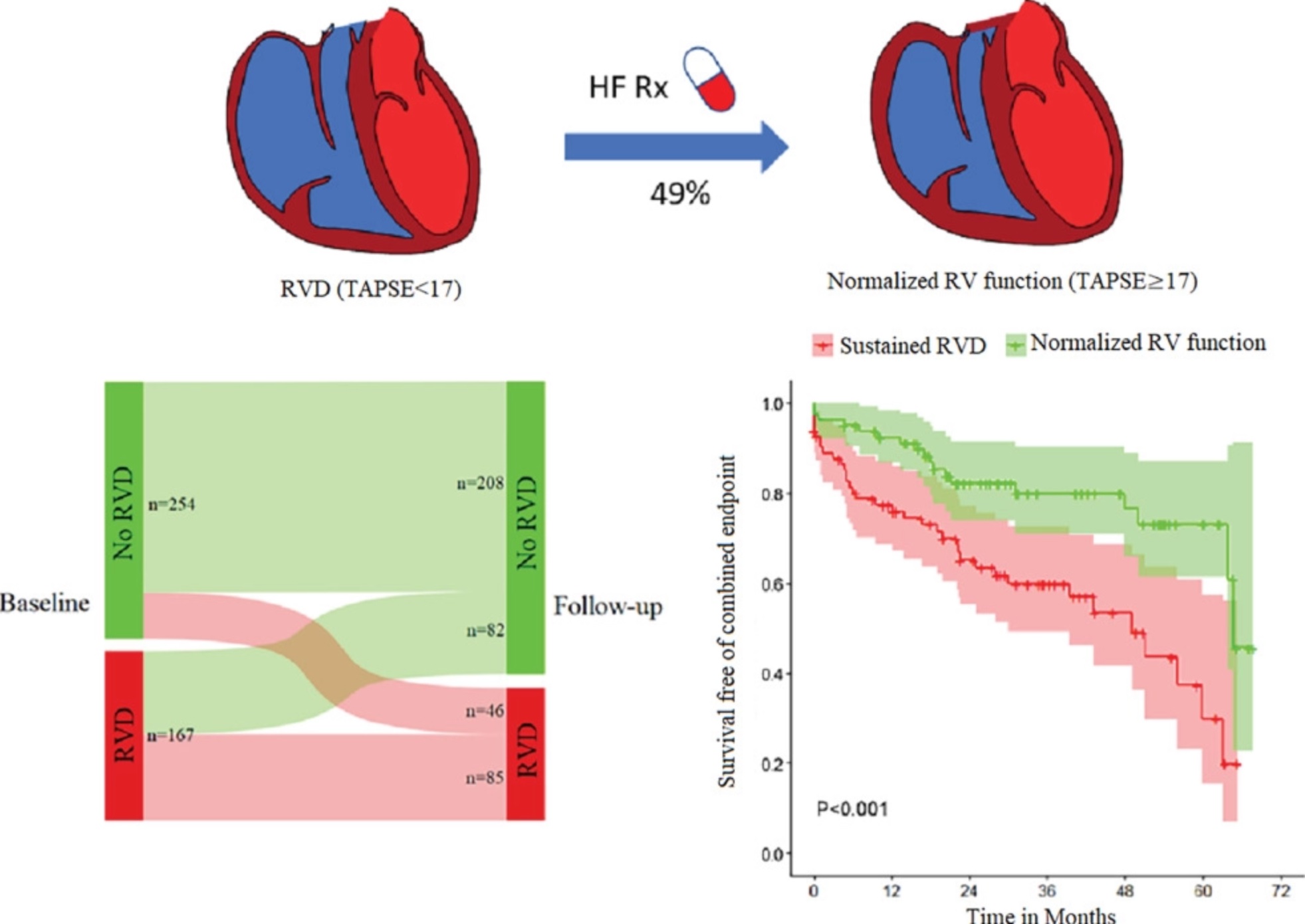 Publication: Right ventricular dysfunction in patients with new-onset ...